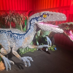 Kokoda Challenge - Connor Bevis