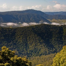 Kokoda Challenge - Brett Creely