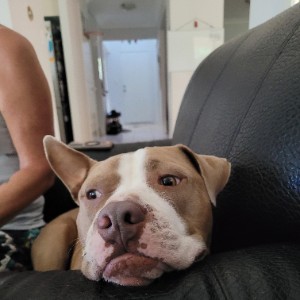 Kokoda Challenge - Marley Mullen