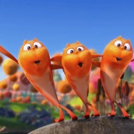 Kokoda Challenge - Erin Van Wijk